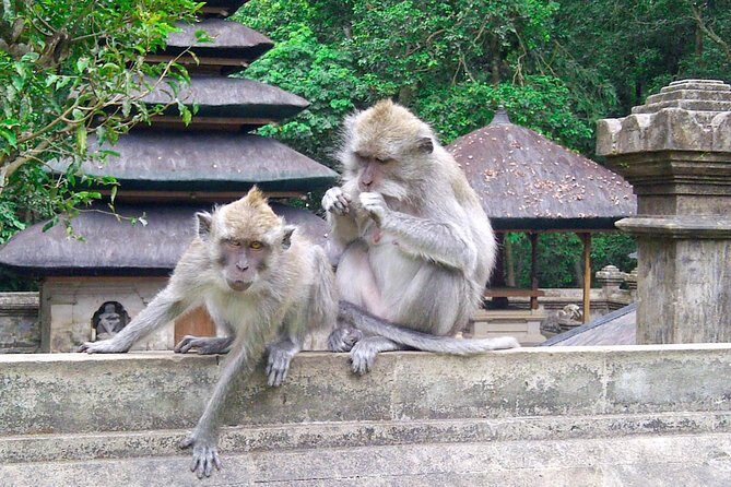 Bali Half-Day TANAH LOT SUNSET, Taman Ayun Temple with Dinner - An Introduction to the Bali Half-Day Sunset Tour