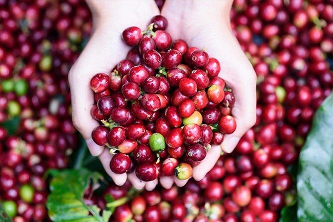 Bali Half-Day Tour to the amazing attraction & sights - Jalan Tegenungan Waterfall