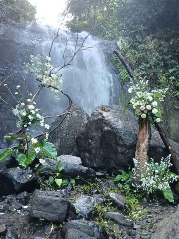 Bali: Hidden Waterfall Hike and Blue Lagoon Snorkeling - The Practical Details: What You Need to Know