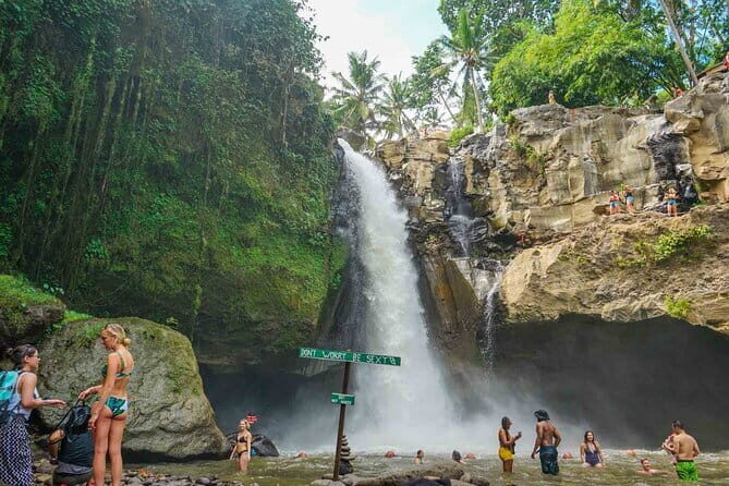 Bali Hidden Waterfall Private Tour with Pick up and Drop off - What You Get for the Price