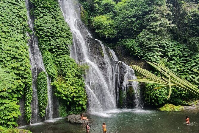 Bali Highlight Customized Full Day Private Tour - Final Thoughts