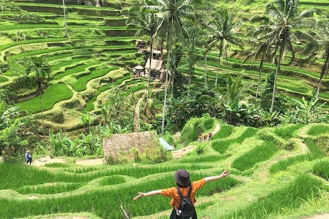 Bali Highlight Private Packages Tours 3 Days - Why Consider This Bali Tour?