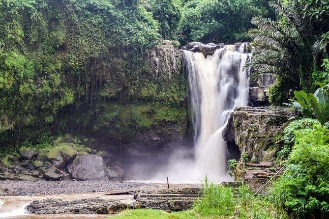 Bali Highlight Tours - Authenticity and Value: What Travelers Are Saying