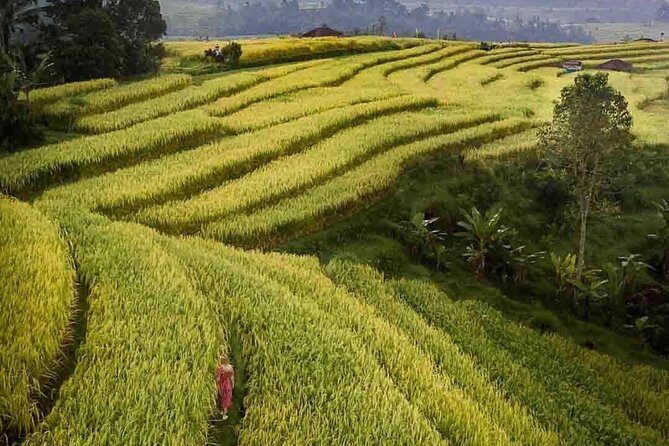 Bali Highlight Tours - In Closing