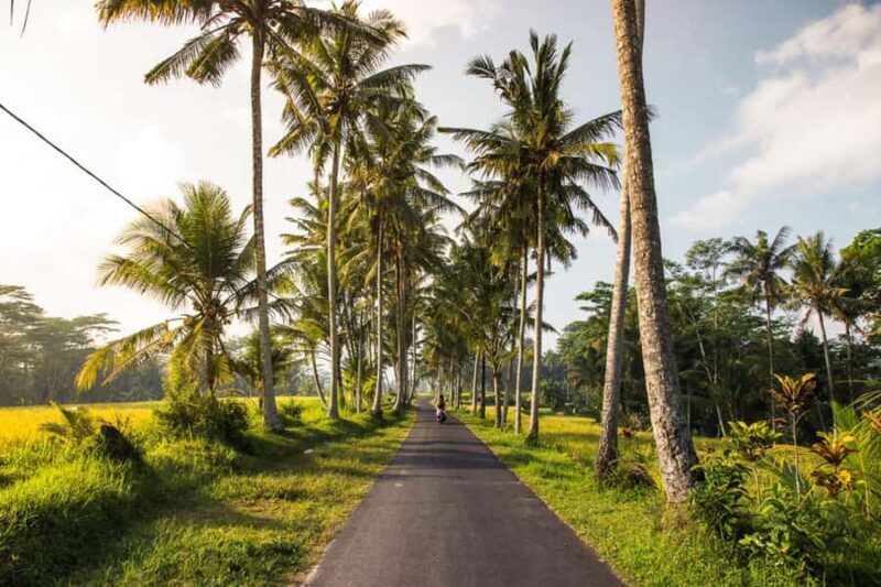 Bali Highlights : Private Custom Tour with opt Lunch - The Value of a Private, Custom Tour