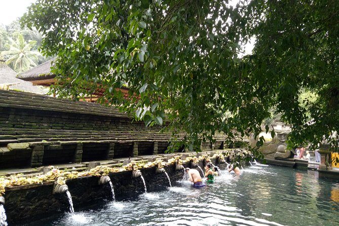 Bali Holy Bathing Ritual and Ubud Highlights tour - Authentic Insights from Reviews