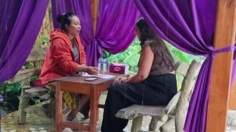 Bali: Holy Water Purification and Palm Reading Tour - Key Points