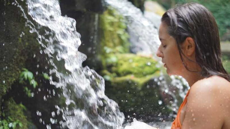Bali: Holy Water Purification and Palm Reading Tour - Who Should Consider This Tour?