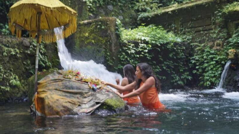 Bali: Holy Water Purification and Palm Reading Tour - FAQ