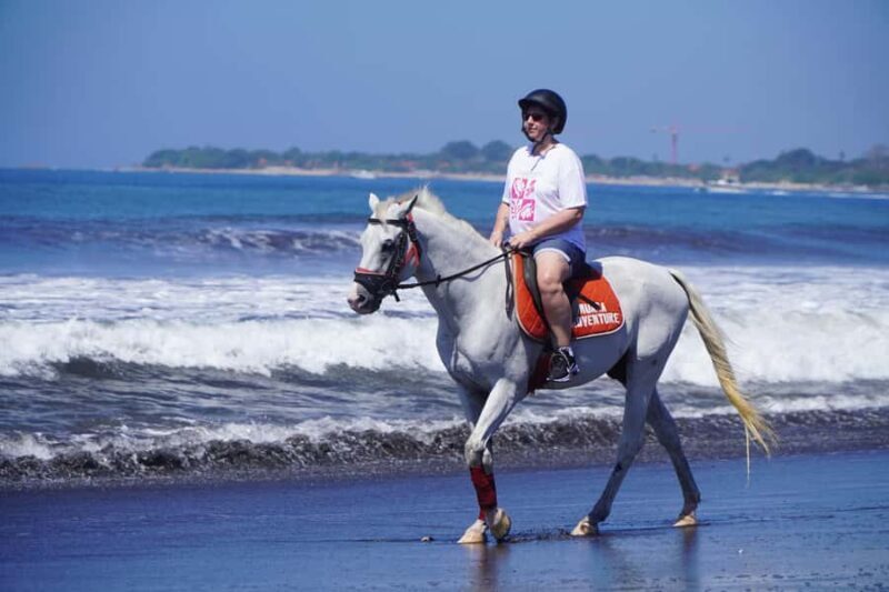 Bali: Horse Riding Experience in Sanur (1 Hour ride) - Key Points