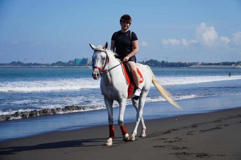 Bali: Horse Riding Experience in Sanur (1 Hour ride) - An In-Depth Look at the Bali Horseback Riding Experience