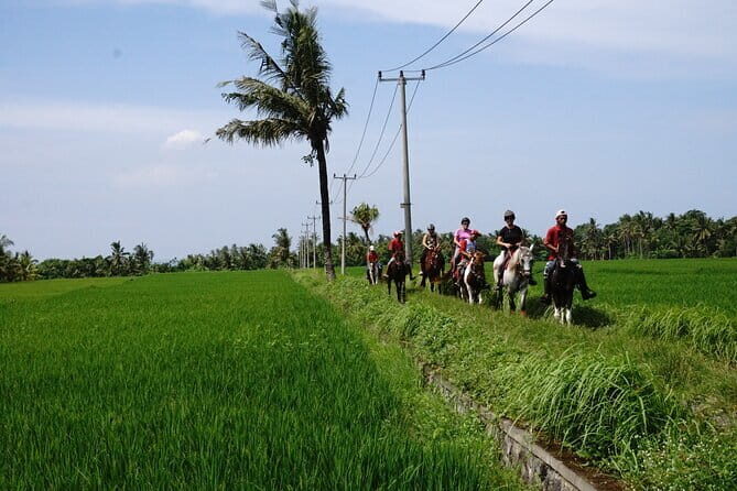 Bali Horse Riding on the Ricefields & Beach - Exploring Bali on Horseback: A Natural Journey