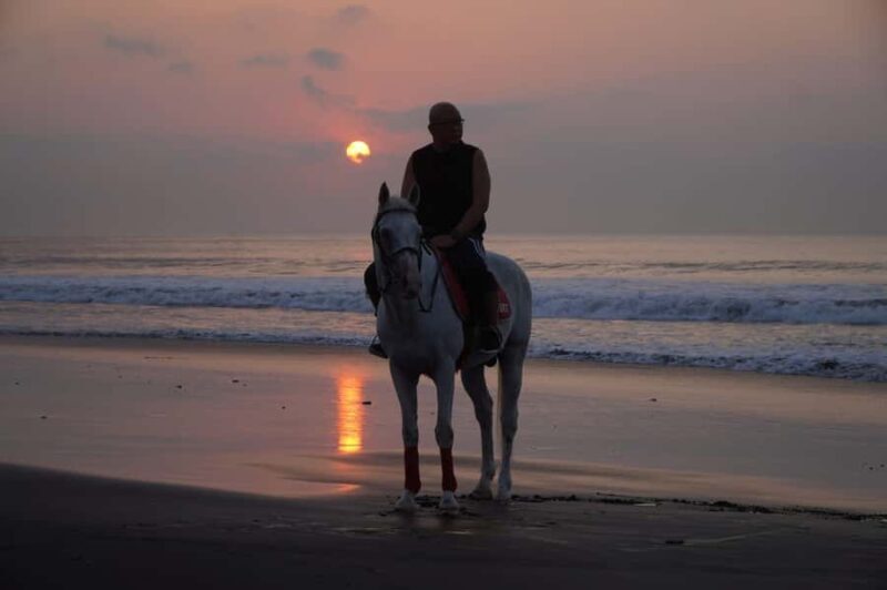 Bali: Horse Riding Sanur Beach Experience with Transport - The Practical Side: Logistics, Price, and Value