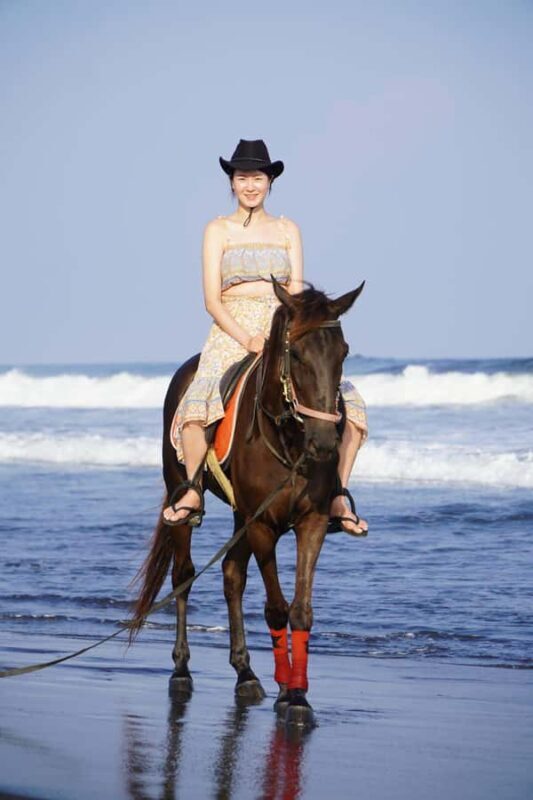 Bali: Horse Riding Sanur Beach Experience with Transport - Who Should Consider This Tour?