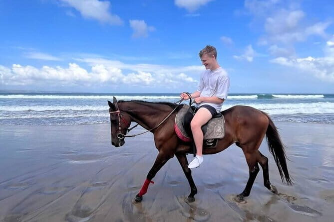 Bali Horse Riding Seminyak Beach Experience Private Transport - Frequently Asked Questions (FAQ)