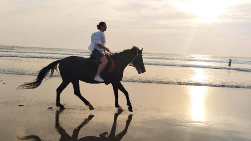 Bali: Horse Riding Tour on Seminyak Beach Include Transport - Practical Details and Considerations