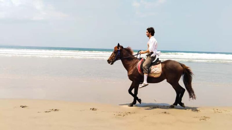 Bali: Horse Riding Tour on Seminyak Beach Include Transport - Authenticity and Customer Satisfaction