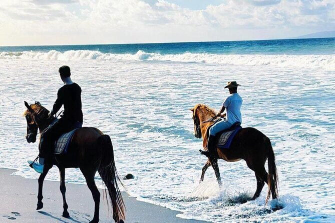 Bali Horse Riding Trot & Canter Saba Beach with Local Temple - The Ride and Scenery: A Closer Look