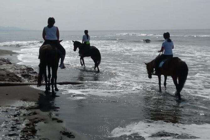Bali Horse Riding Trot & Canter Saba Beach with Local Temple - Who Is This Tour Best For?