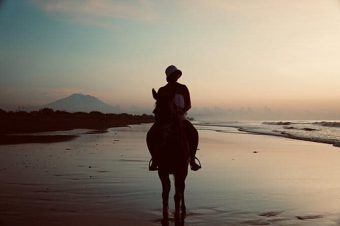 Bali Horse Riding Trot & Canter Sanur Beach include Transport - Coastal Riding at Sanur Beach – A Visual Feast