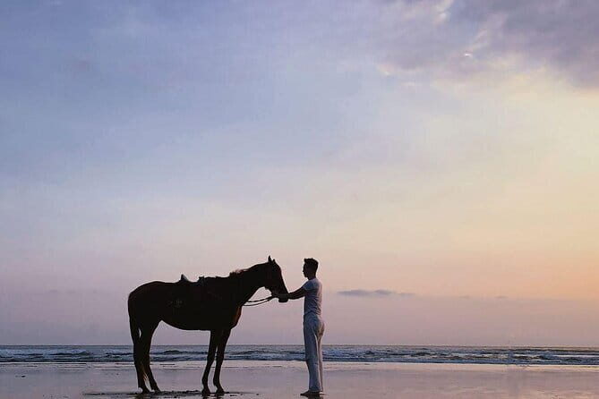Bali Horse Riding Trot & Canter Sanur Beach include Transport - Analyzing the Value