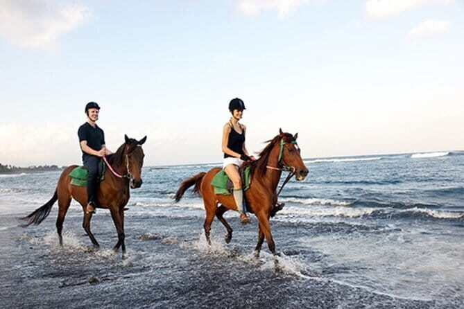 Bali Horse Riding + Waterfall + Rice Terrace + Lunch - An In-Depth Look at the Bali Horse Riding Tour