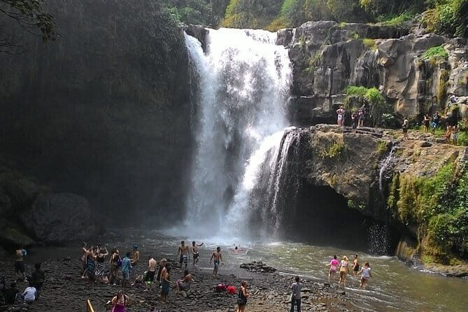 Bali Horse Riding + Waterfall + Rice Terrace + Lunch - Who Is This Tour Best For?