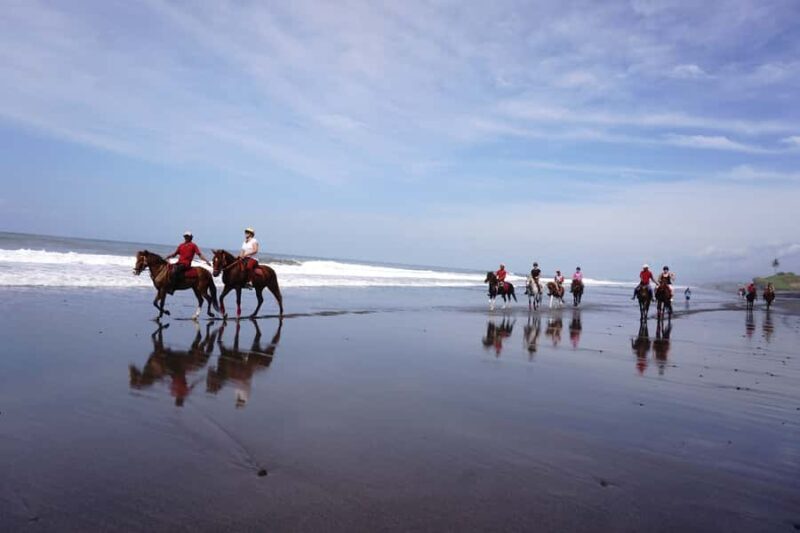 Bali: Horseback Riding Tour - Rice Fields & Pig Stone Beach - An In-Depth Look at the Bali Horseback Riding Experience