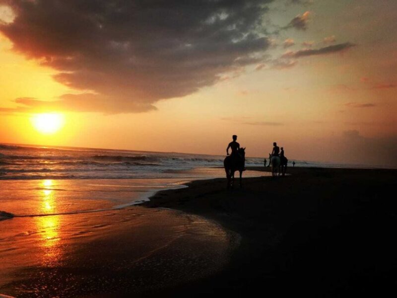 Bali: Horseback Riding Tour - Rice Fields & Pig Stone Beach - Practical Tips for Your Ride