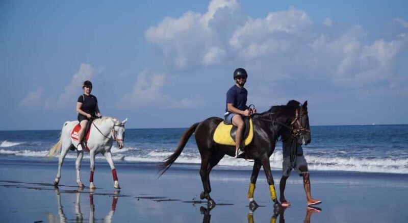 Bali: Horseback Riding Tour with Hotel Transfer - The Value of a Scenic Ride