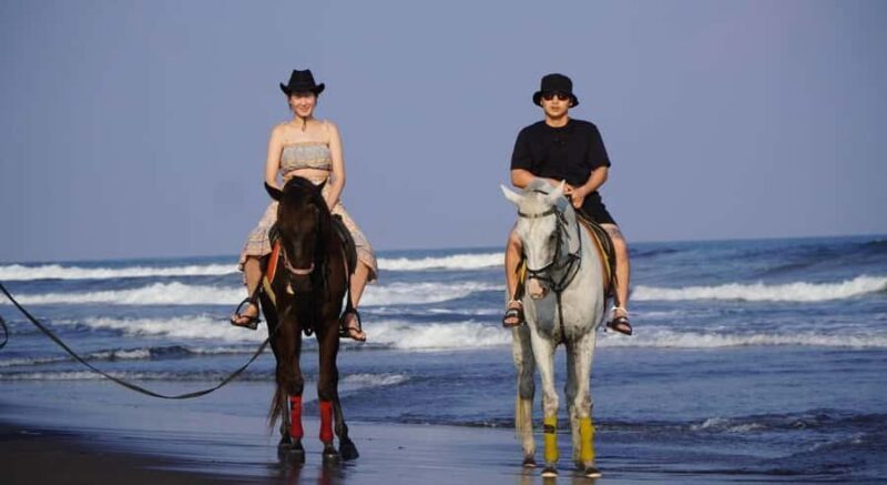 Bali: Horseback Riding Tour with Hotel Transfer - Final Thoughts