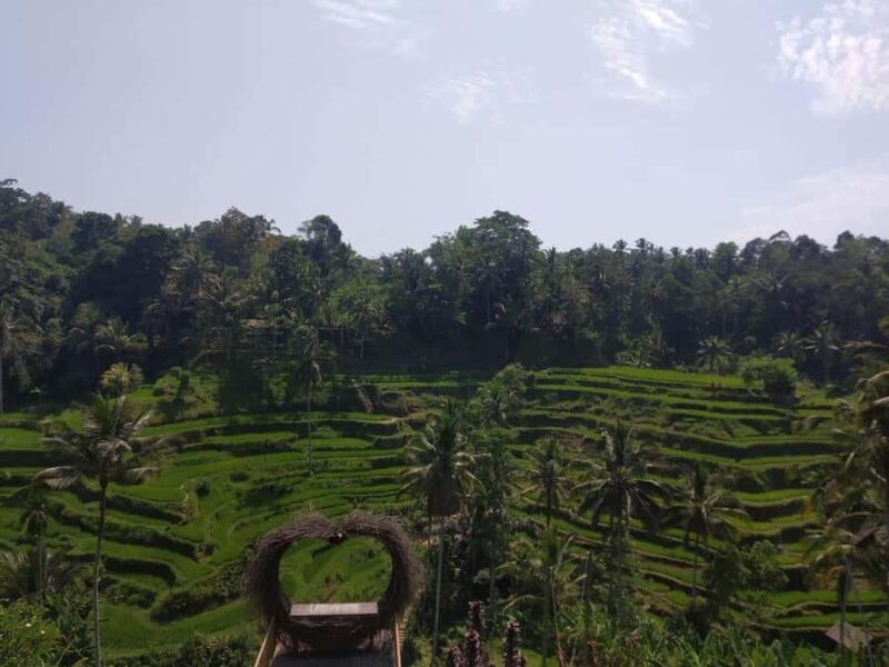 Bali in 1 Day : Iconic temples -UNESCO Sight - All inclusive - FAQ