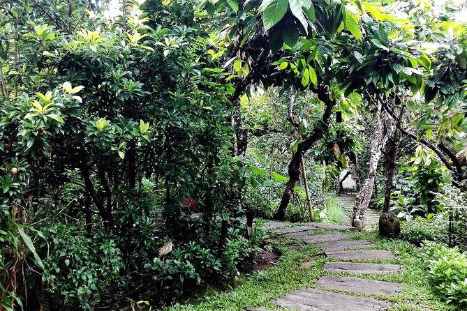 Bali in 1-Day : Rice Terrace, Volcano, Tanah lot - All Inclusive - What Sets This Tour Apart?