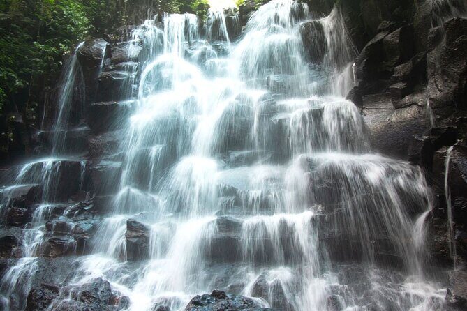 Bali Instagram Tour- Most Scenic Spots in Bali - Who Should Consider This Tour?