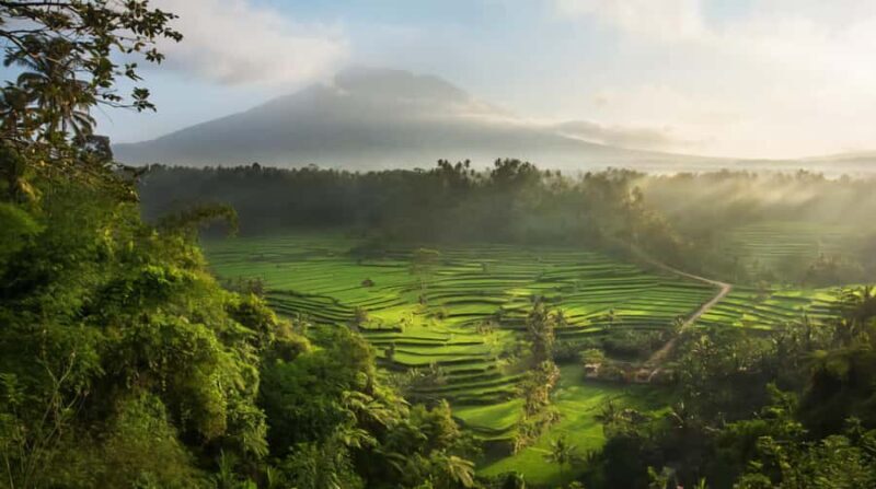 Bali: Jaga Satru Waterfall, Goa Lawah & Sidemen Tour - An Authentic Day Out in Bali’s East