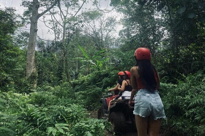 Bali Jatiluwih ATV Ride Jungle Tour - The Sum Up