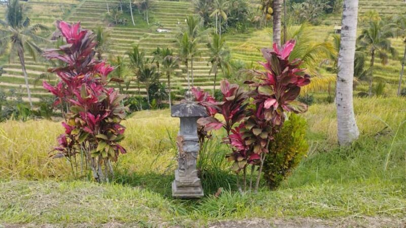 Bali: Jatiluwih Full-Day E-Bike and Trekking Tour - Key Points