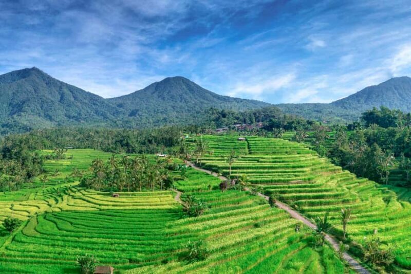 Bali: Jatiluwih Full-Day E-Bike and Trekking Tour - Final Thoughts