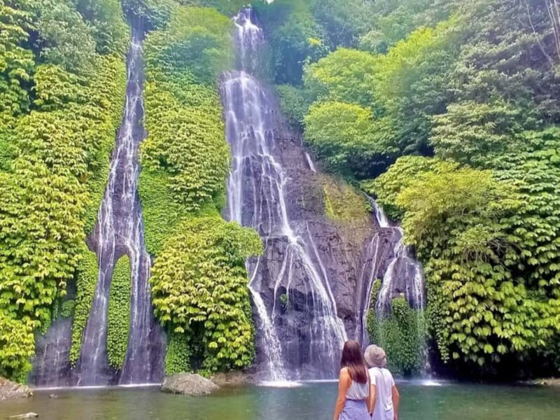 Bali: Jatiluwih Rice Terrace, Temple & Waterfall Tour - FAQ