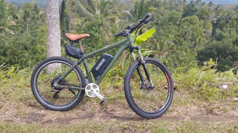 Bali: Jatiluwih Rice Terraces 1 Hour Electric Bike Tour - Key Points