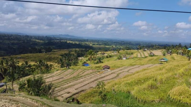 Bali: Jatiluwih Rice Terraces 1 Hour Electric Bike Tour - Practicalities and Value