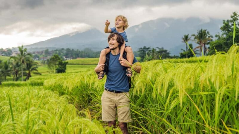 Bali: Jatiluwih Rice Terraces Sunrise guided Walking Tour - Final thoughts: Who is this tour perfect for?