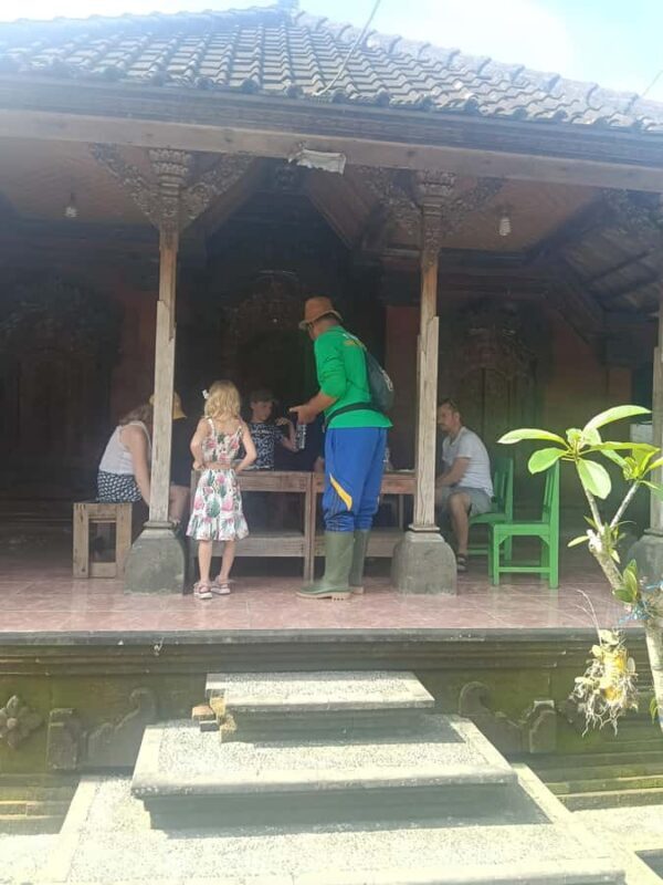 Bali: Jatiluwih Trek via Senganan Village  with local guide - Key Points