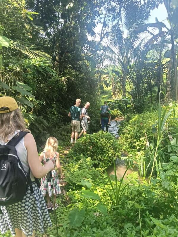 Bali: Jatiluwih Trek via Senganan Village  with local guide - FAQ