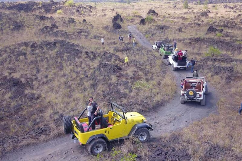 Bali: Jeep and Quad Bike Adventure with Scenic Rice Fields - Who Should Consider This Tour?