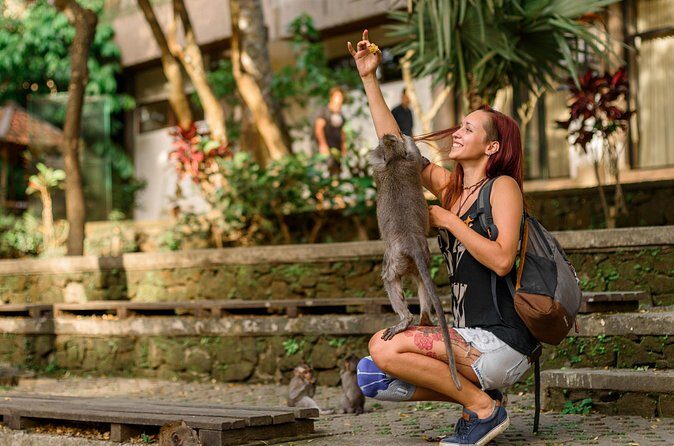 Bali Jungle Adventure: Swing Heaven, Monkey Forest & Temple - Practical Tips for Travelers