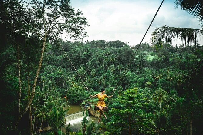 Bali Jungle Adventure: Swing Heaven, Monkey Forest & Temple - The Sum Up