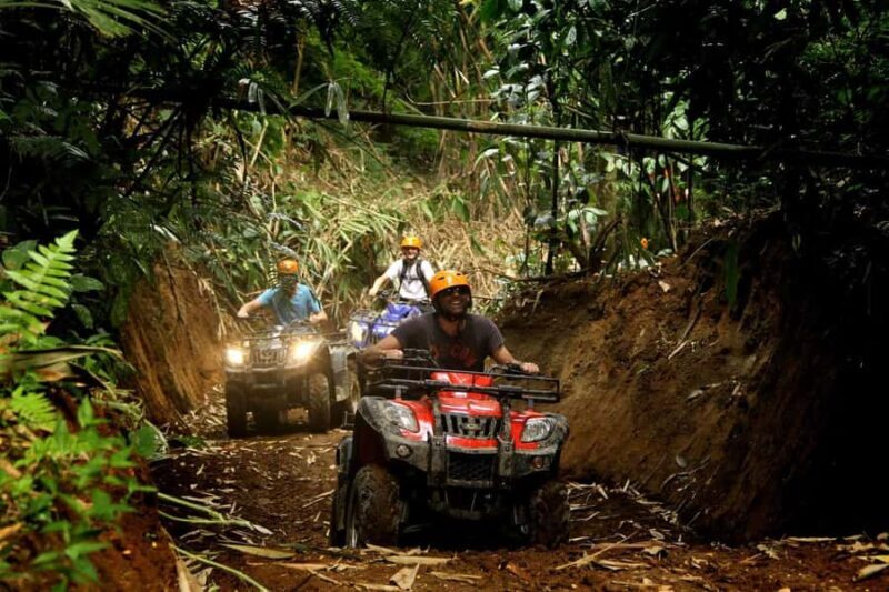 Bali: Jungle ATV Ride, Coffee Plantation & Waterfall - Final Thoughts: Who Should Book This Tour?