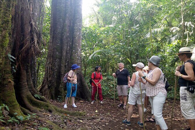 Bali Jungle Escapade: Rainforest and Waterfall Trekking - Key Points
