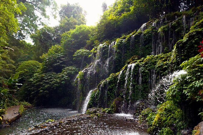 Bali Jungle Escapade: Rainforest and Waterfall Trekking - FAQ: Your Bali Jungle Trekking Questions